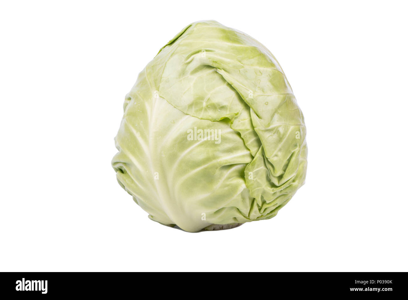 Cabbage circle Cut Out Stock Images & Pictures - Alamy