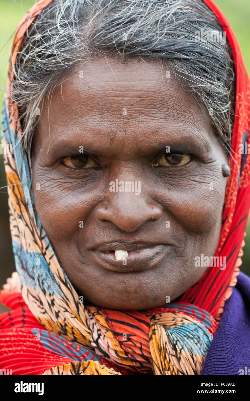 Female tea plantation worker hi-res stock photography and images - Alamy