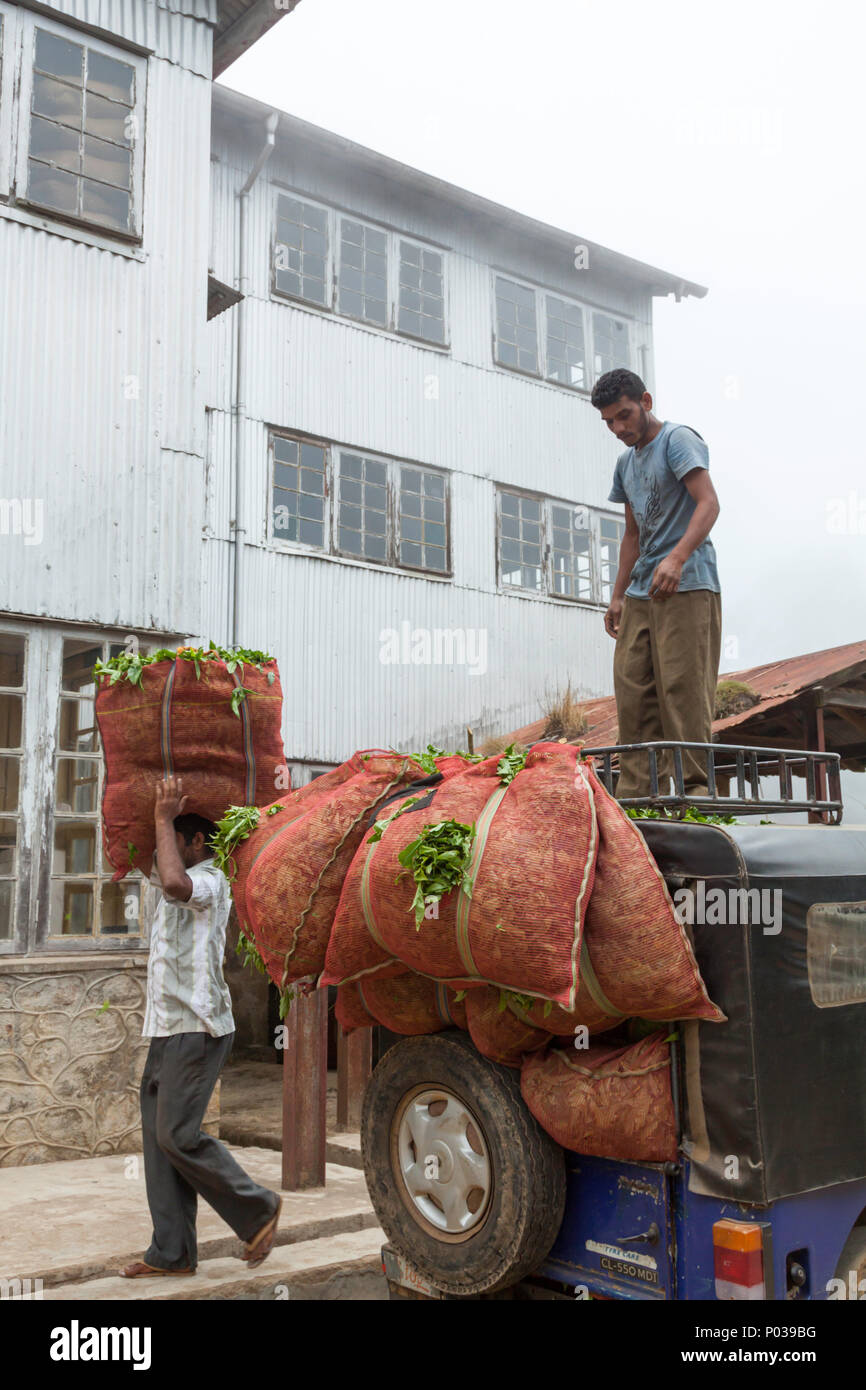 India factory workers hi-res stock photography and images - Alamy