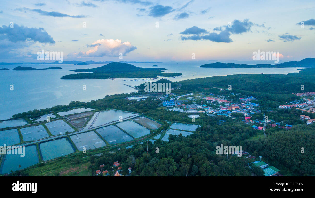 Prawn pond aerial hi-res stock photography and images - Alamy