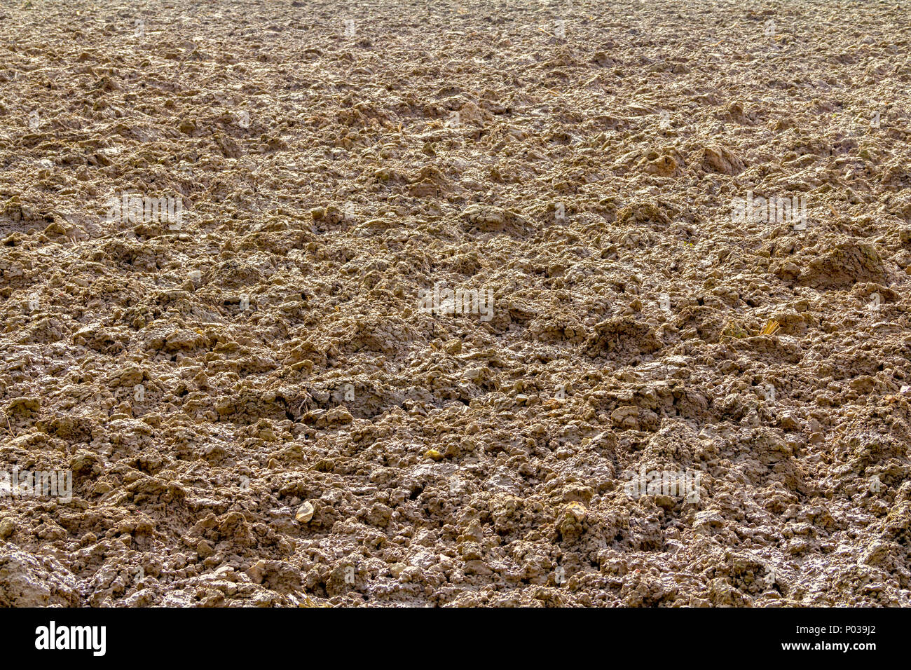 abstract agricultural background of a plowed field detail Stock Photo ...