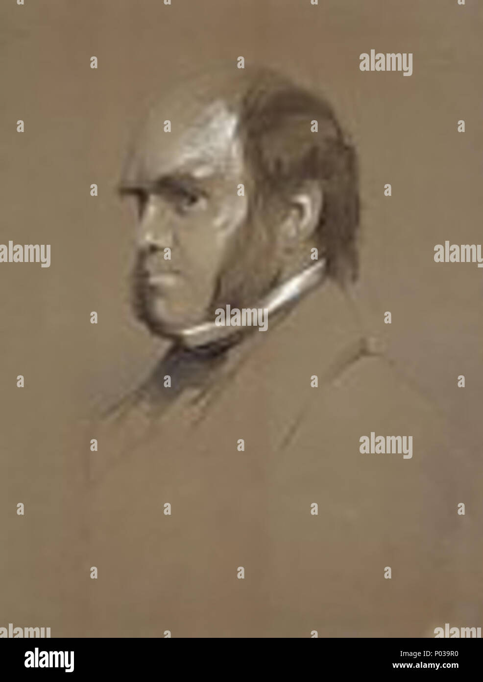 Charles darwin drawing hi-res stock photography and images - Alamy