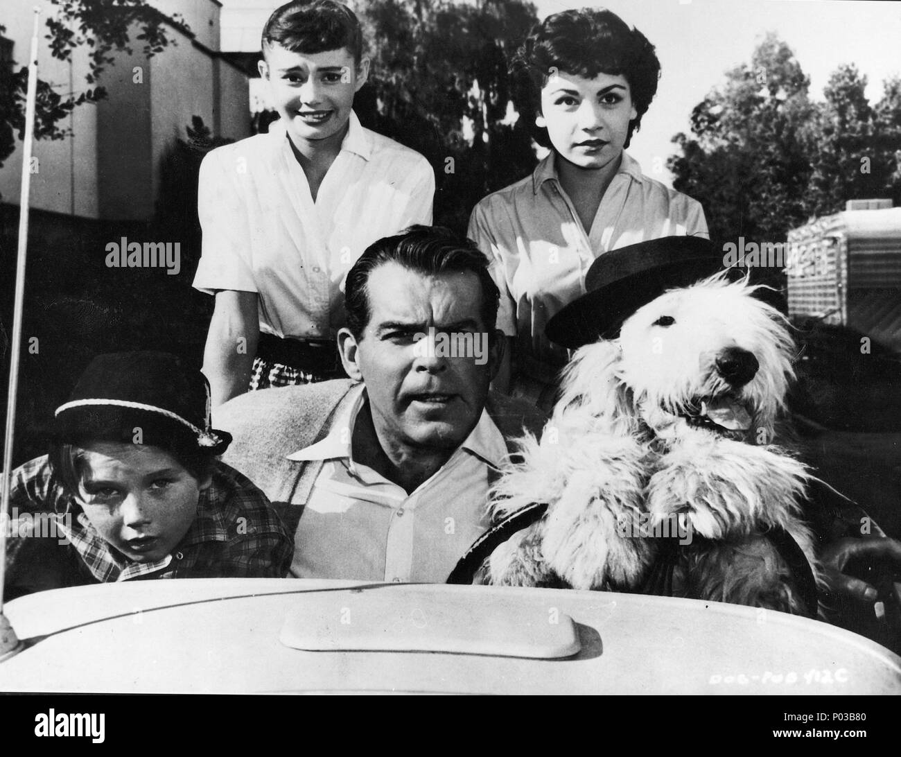 The Shaggy Dog 1959 Walt Disney The Shaggy Dog By Charles Spain Verral