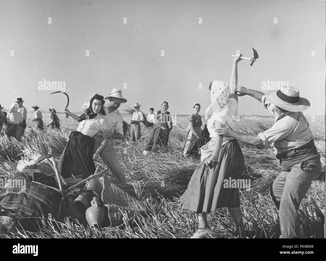 Original Film Title: LA GATA. English Title: THE CAT. Film Director ...