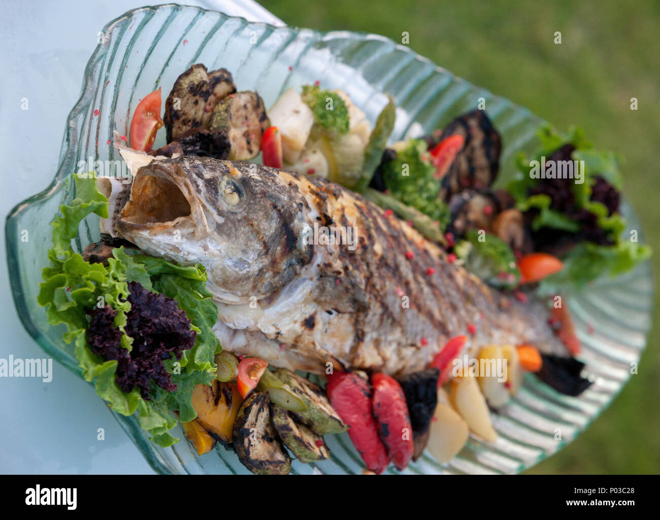 Green sunfish hi-res stock photography and images - Alamy