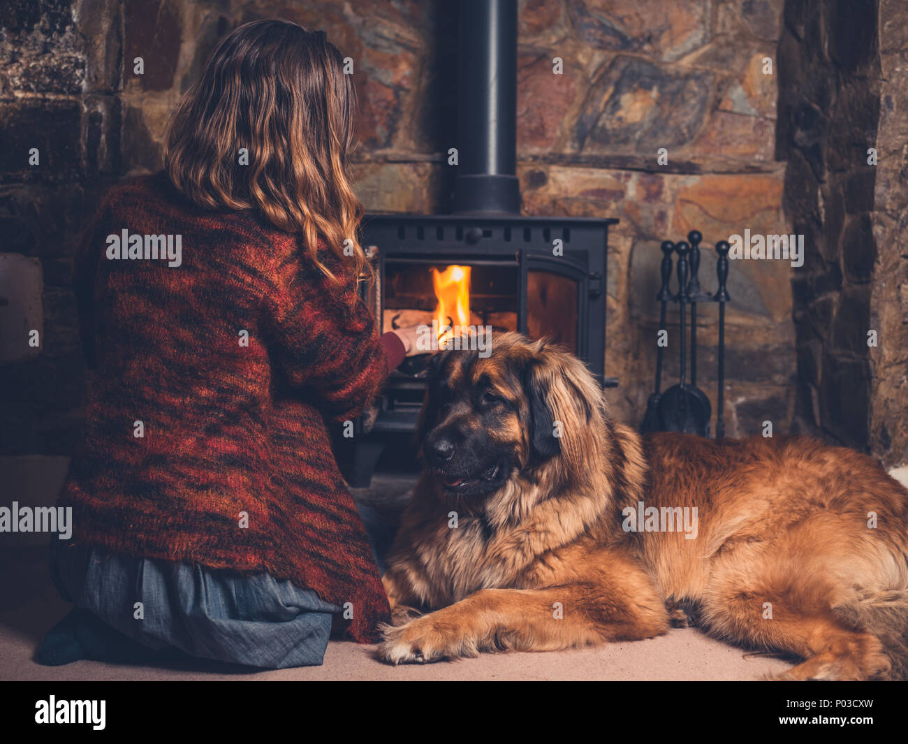 Log burner dog hi-res stock photography and images - Alamy