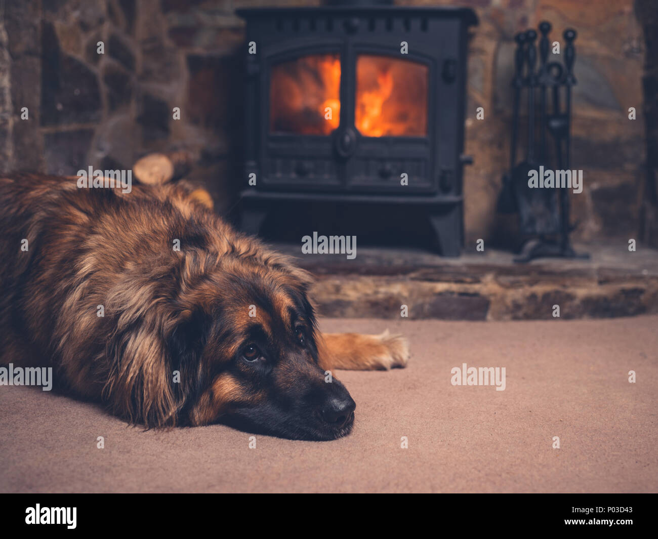 Burner fuel hi-res stock photography and images - Alamy