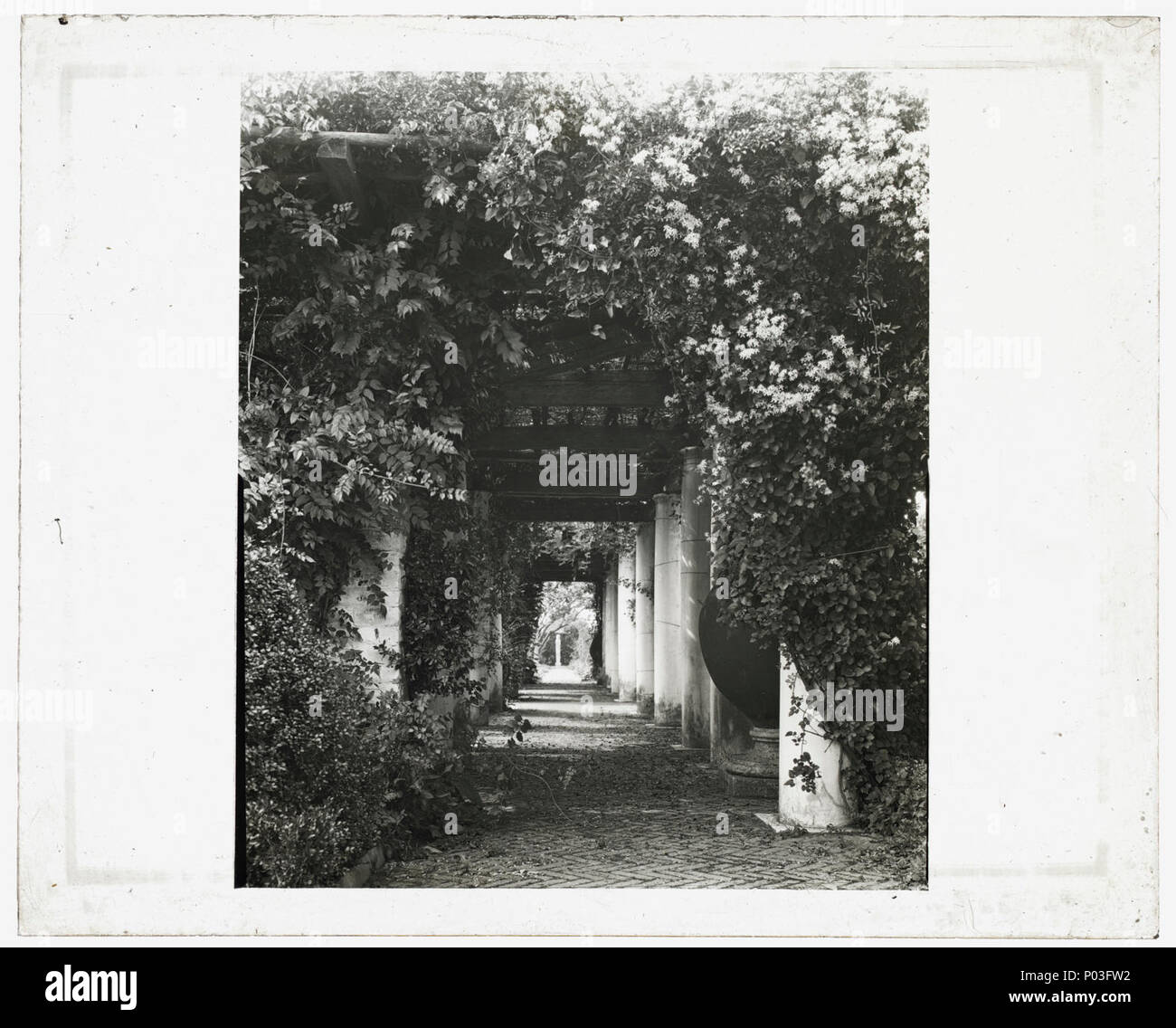 The Orchard, James Lawrence Breese house, 151 Hill Streeet, Southampton ...