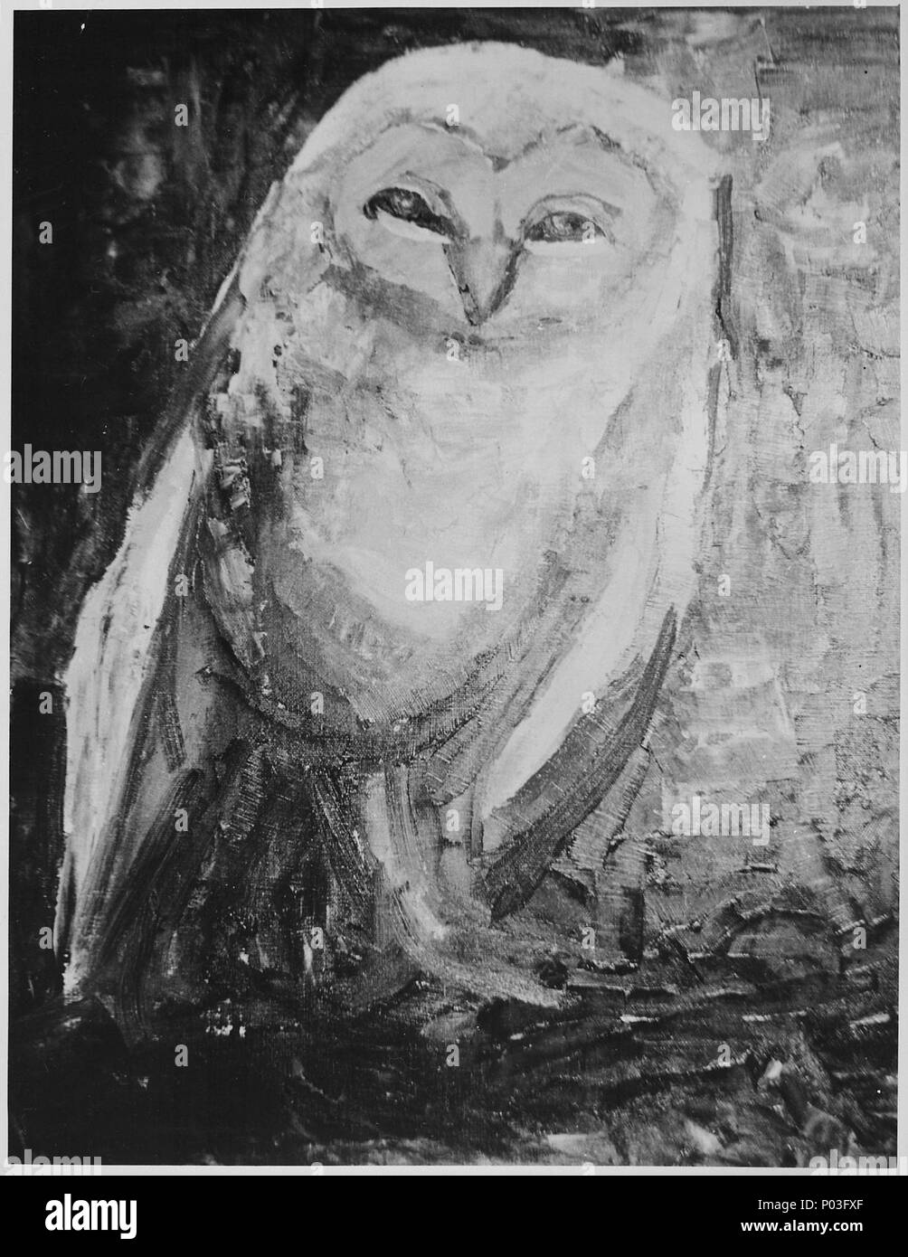 Classic owl Black and White Stock Photos & Images - Alamy