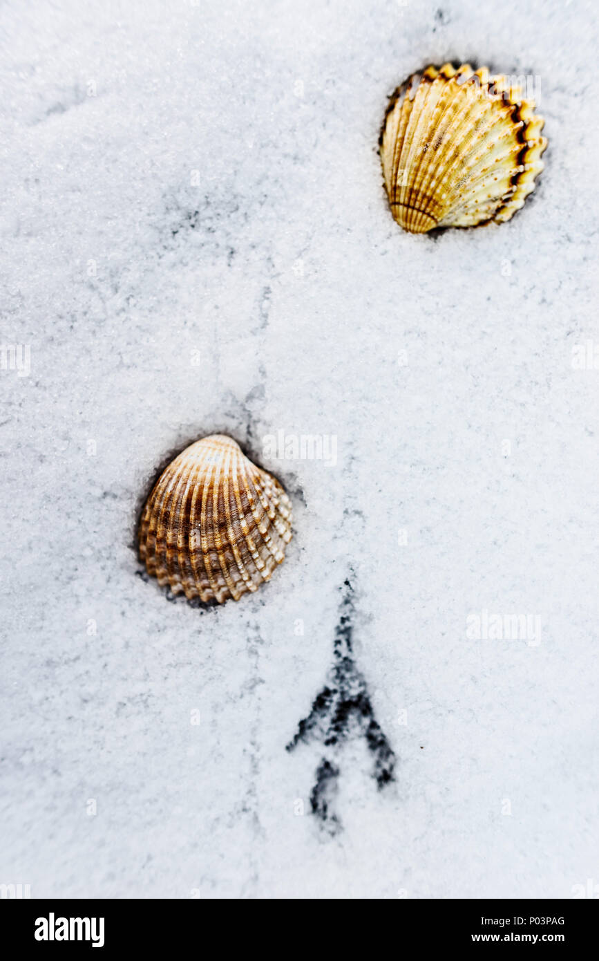 Best nature pic hi-res stock photography and images - Alamy