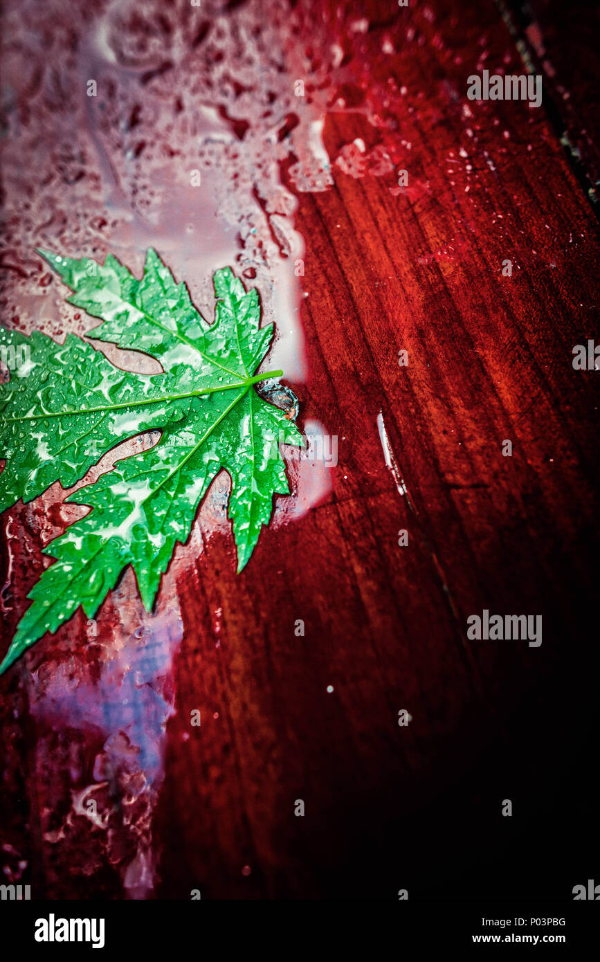 Fineartphototour hi-res stock photography and images - Alamy