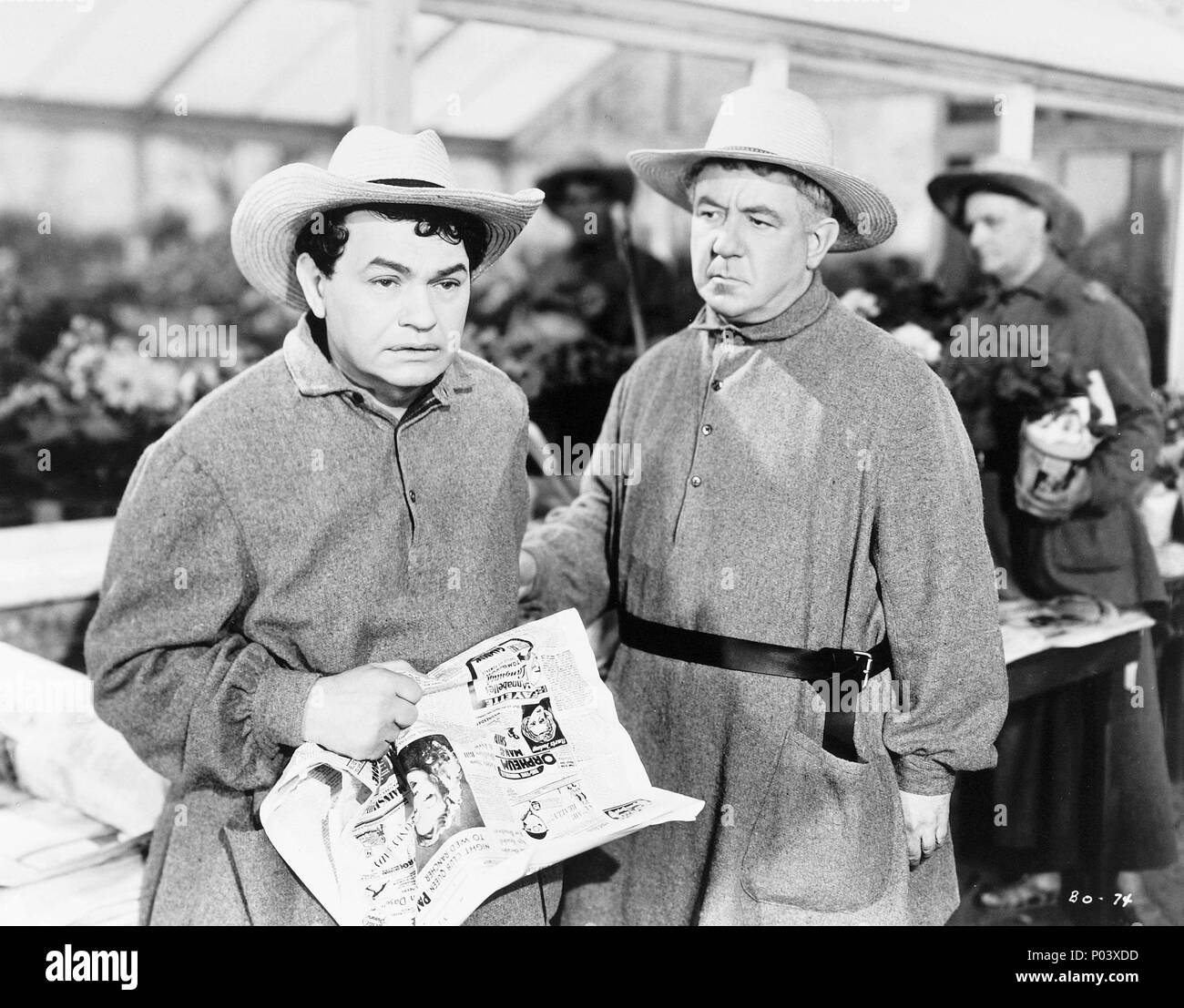 Original Film Title: BROTHER ORCHID. English Title: BROTHER ORCHID ...