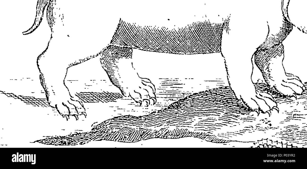 Distingui hi-res stock photography and images - Alamy