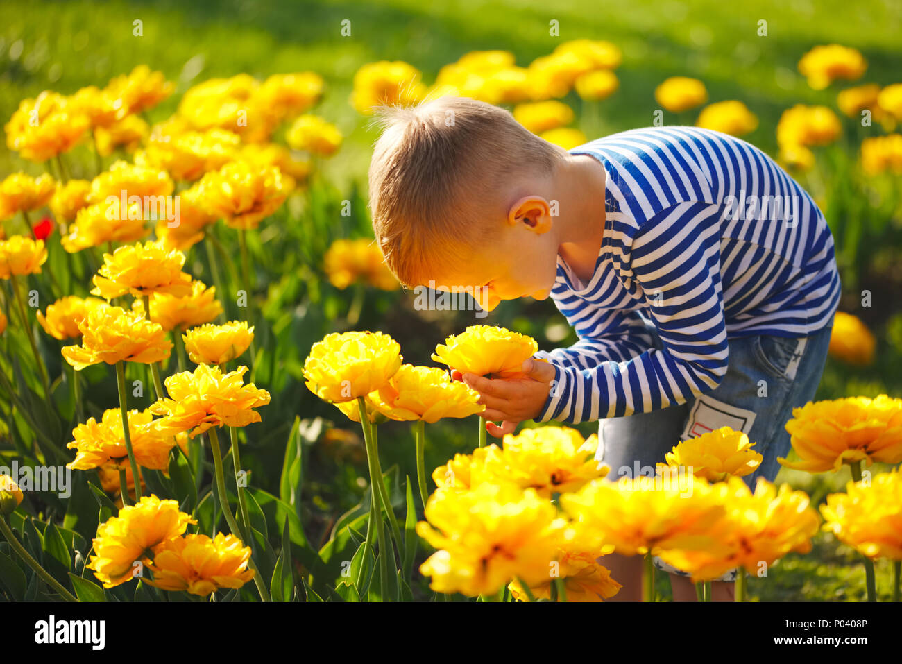 little boy with flowers Stock Photo - Alamy