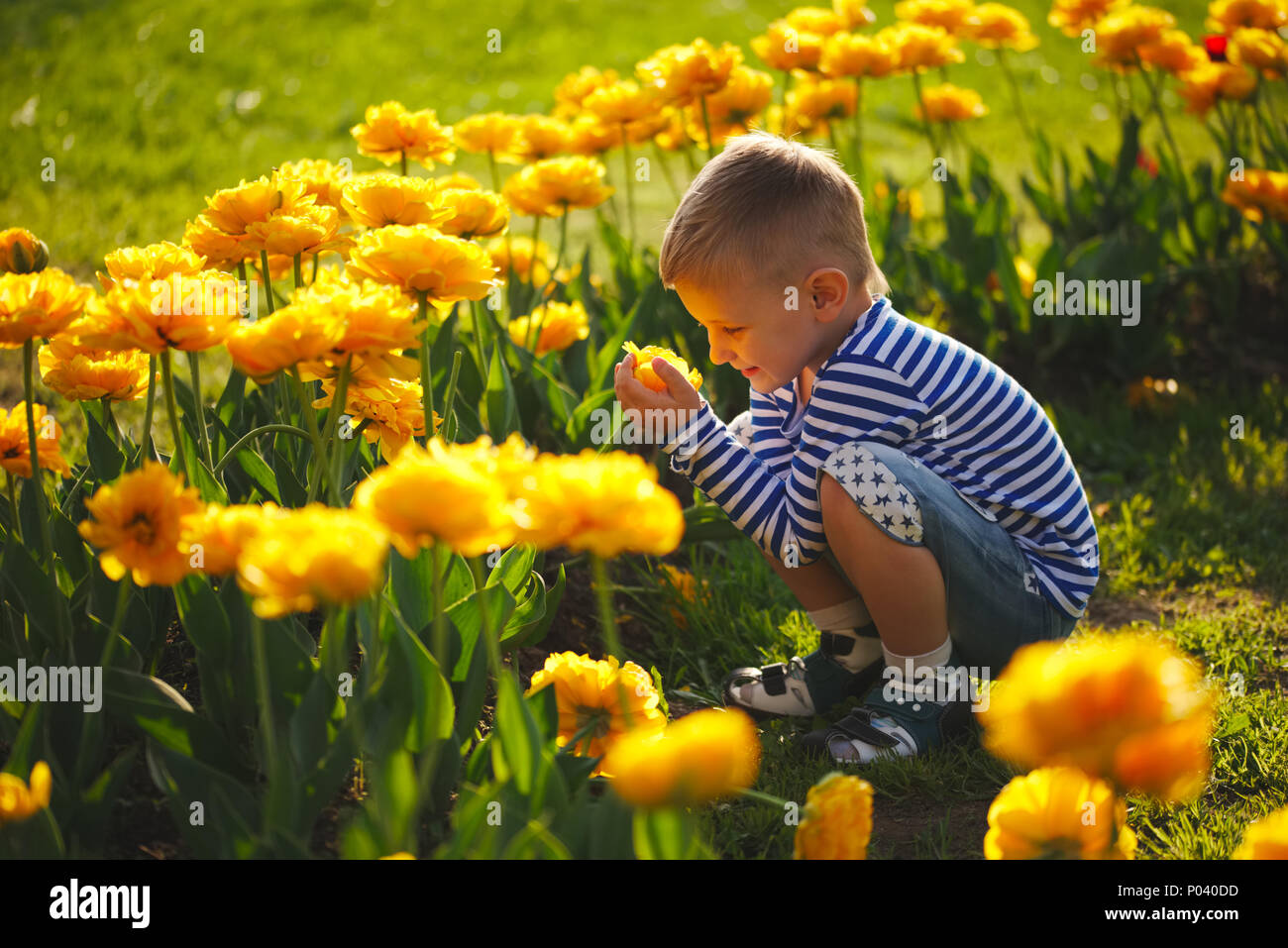 Baby smelling flower hi-res stock photography and images - Alamy