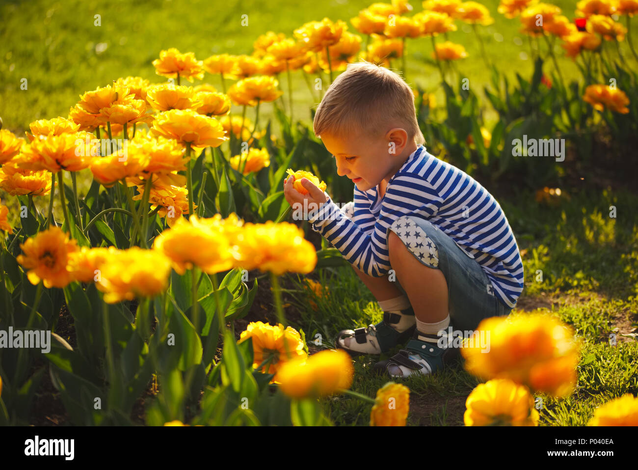 little boy with flowers Stock Photo - Alamy