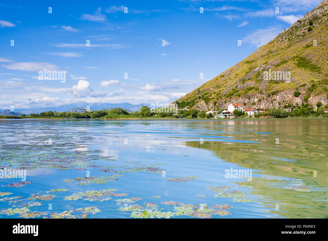 Skadar Lake National Park, Montenegro Stock Photo - Alamy