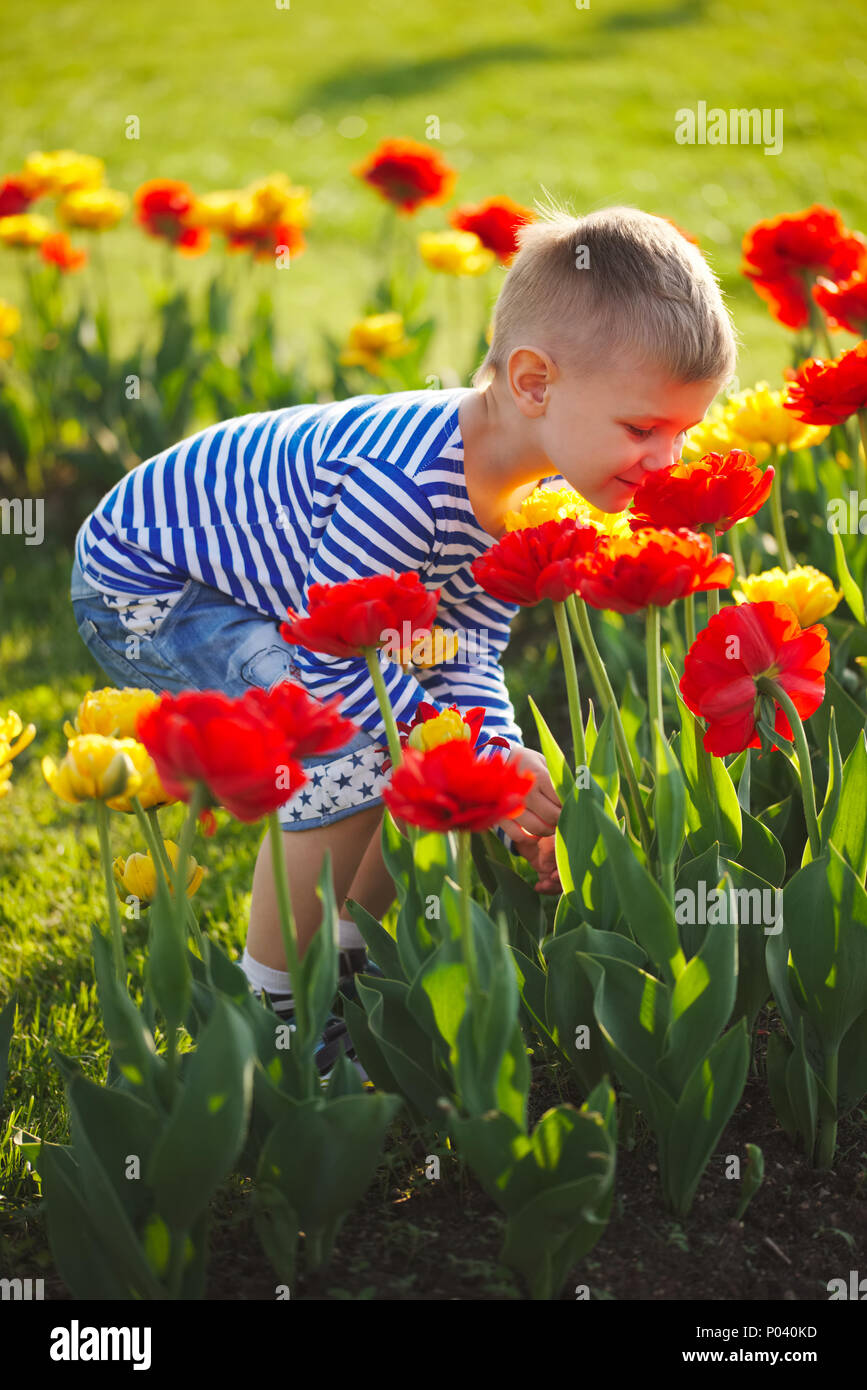 Adorable caucasian boy smelling yellow hi-res stock photography and ...