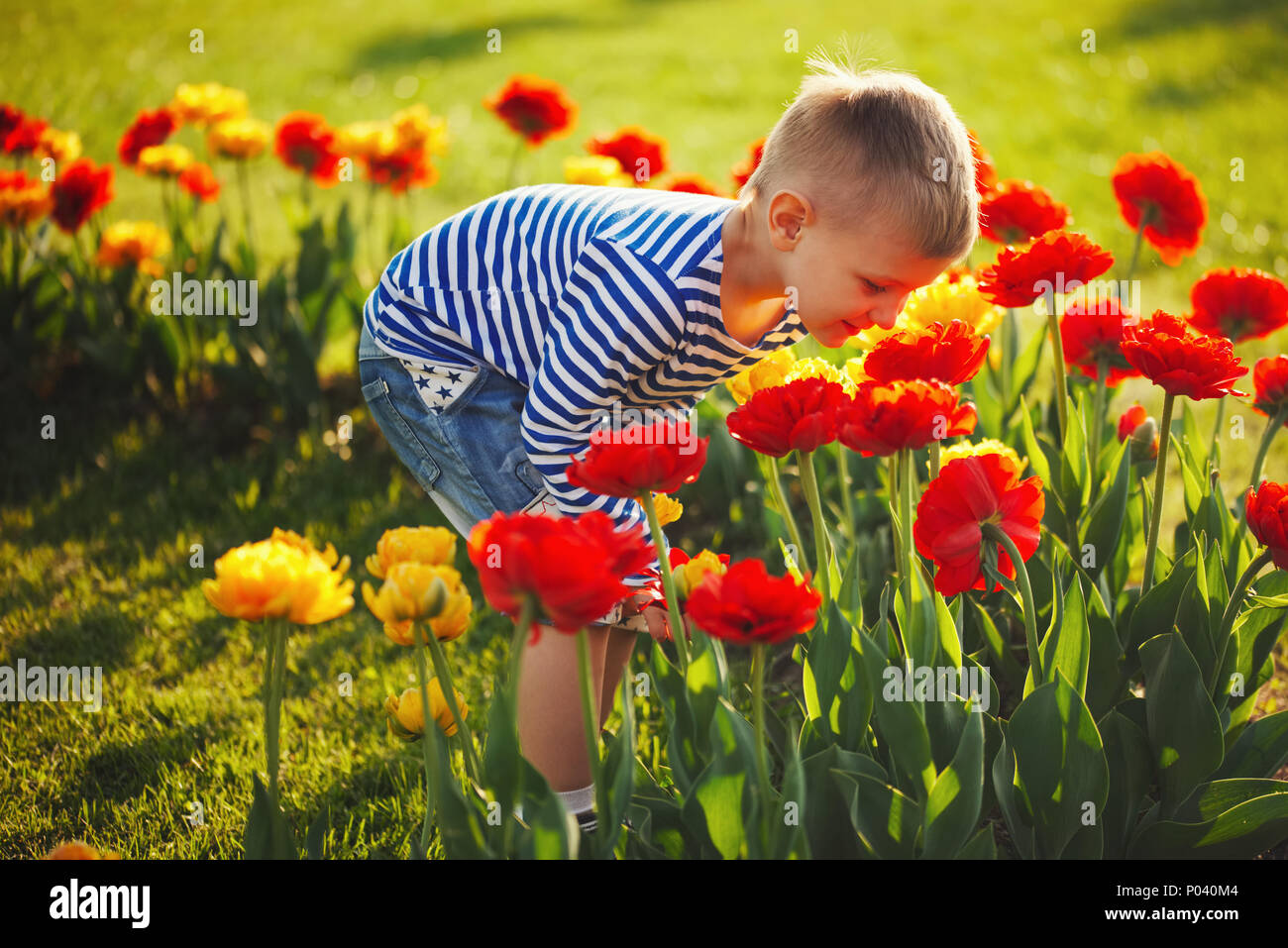 little boy with flowers Stock Photo - Alamy