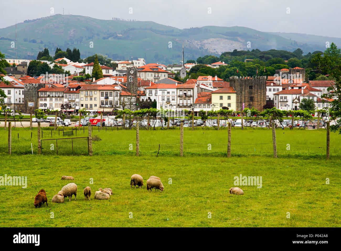 Minho lima hi-res stock photography and images - Alamy