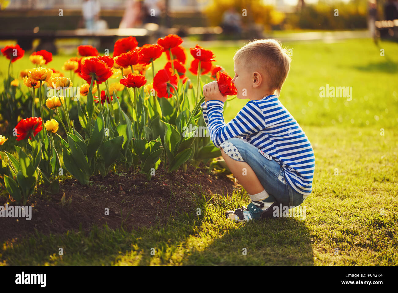 little boy with flowers Stock Photo - Alamy