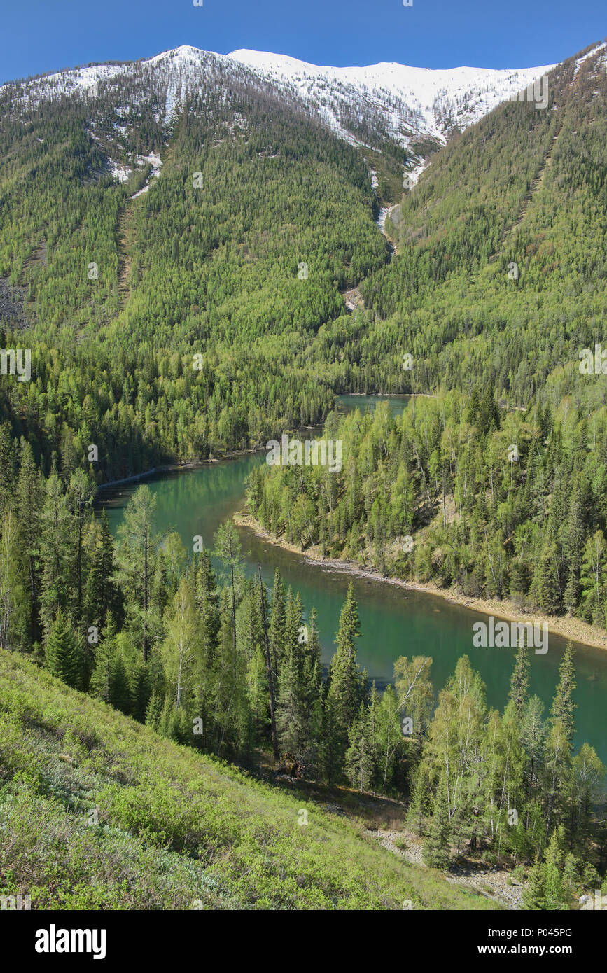 The lovely Kanas River at Kanas Lake National Park, Xinjiang, China ...