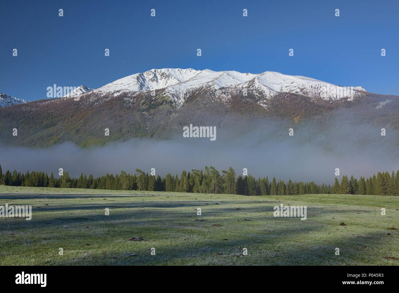 Kanas national geopark hi-res stock photography and images - Alamy