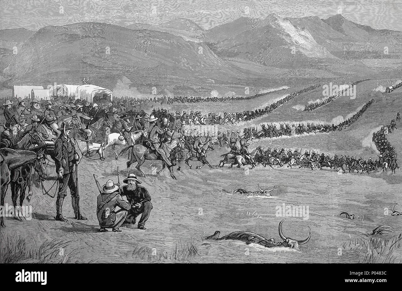 Laings hi-res stock photography and images - Alamy