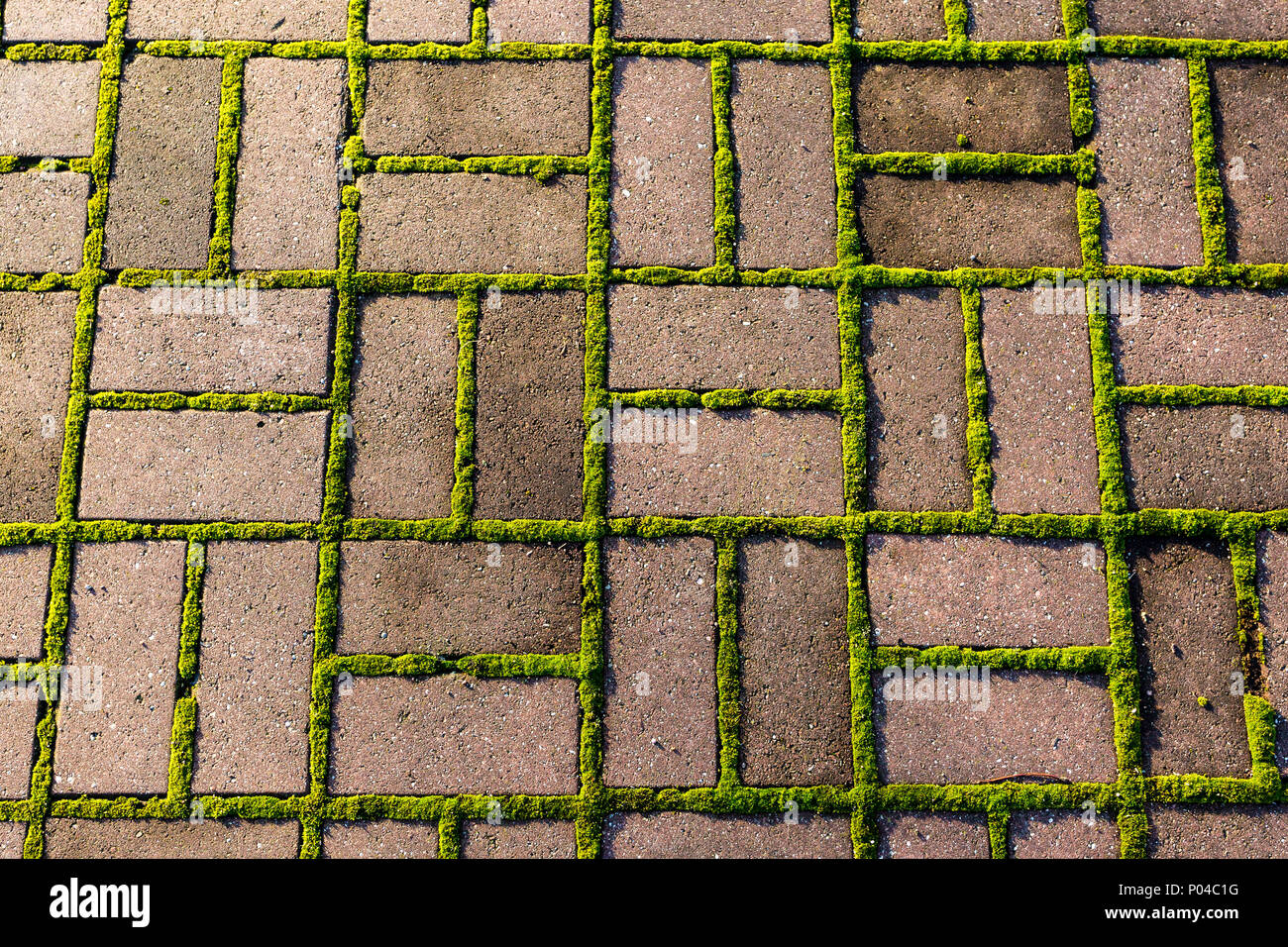Exterior Brick Footpath Texture Background High Resolution Stock ...