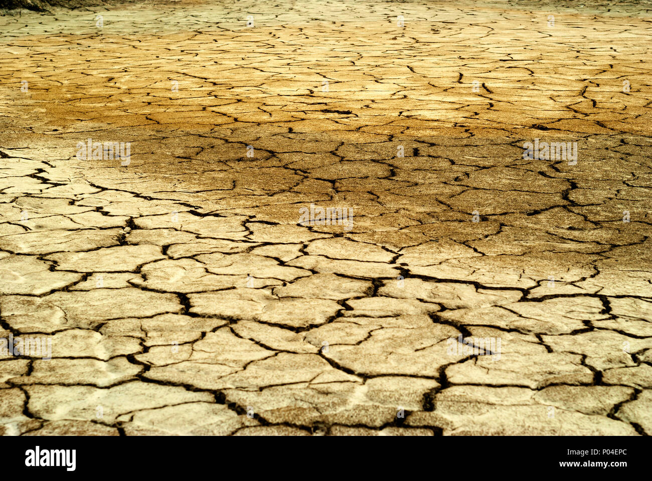 landscape - desert with pattern of different-sized cracks on dry clay ...