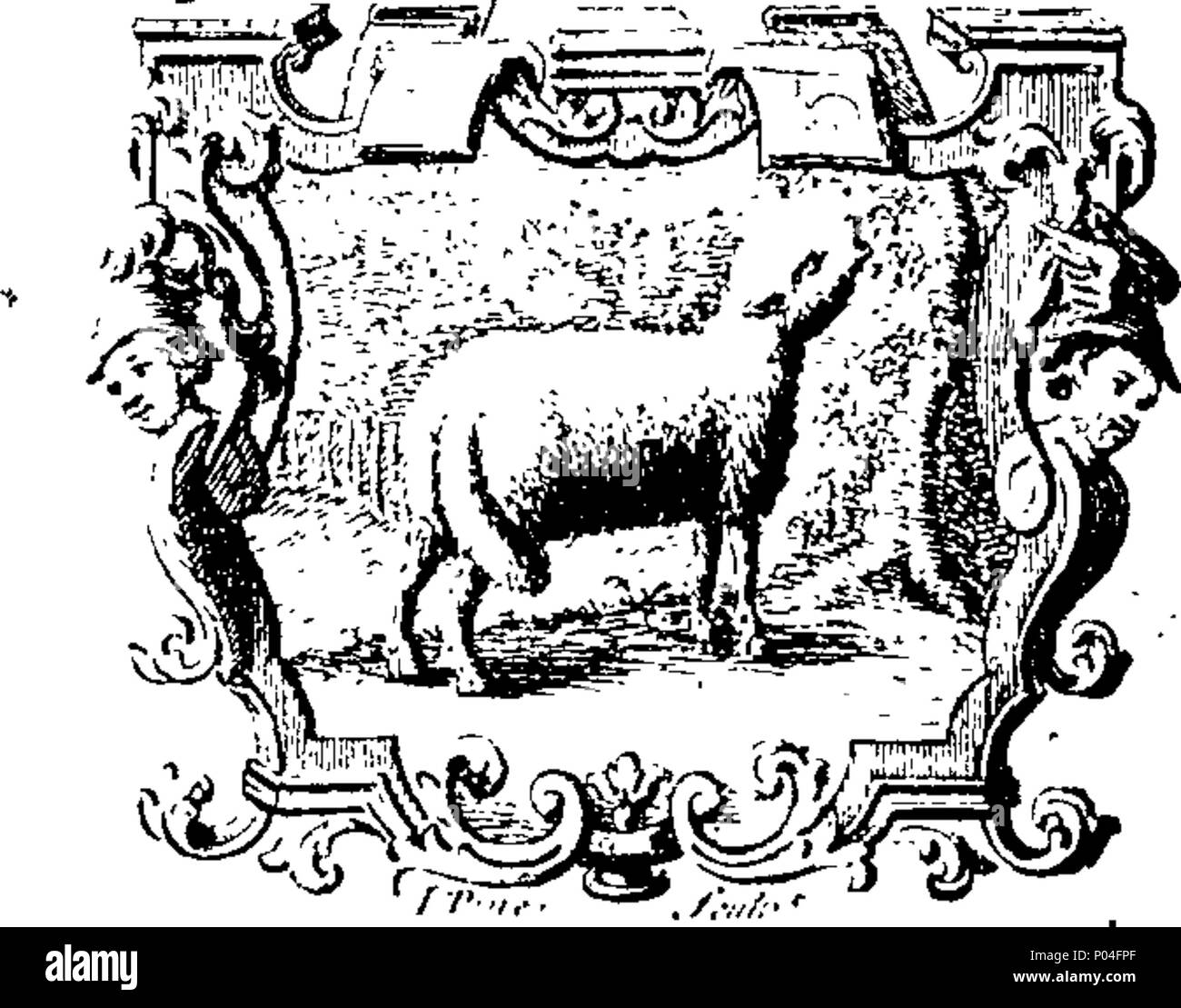 50 detail 1 Black and White Stock Photos & Images - Alamy