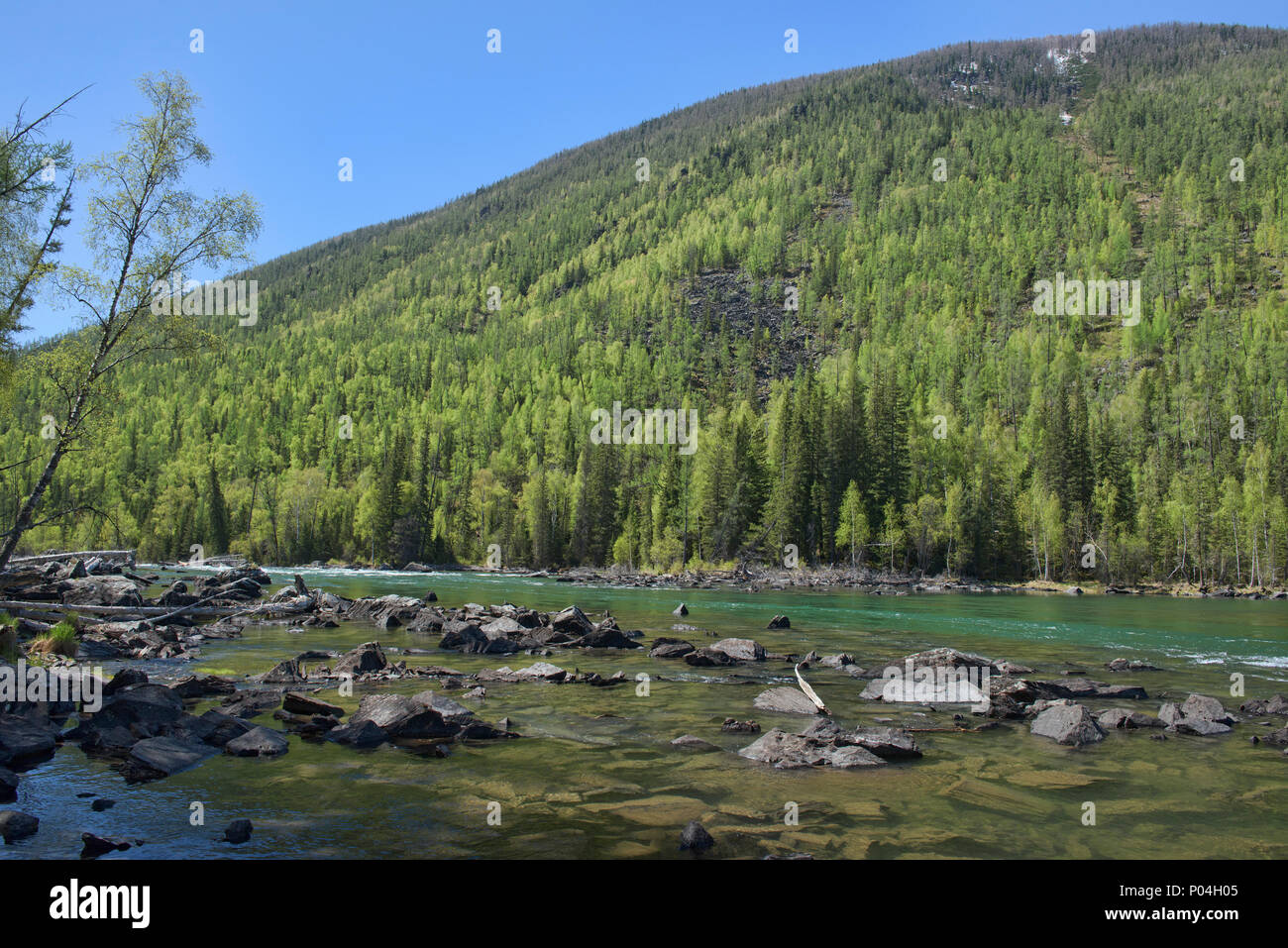 The lovely Kanas River at Kanas Lake National Park, Xinjiang, China Stock Photo - Alamy