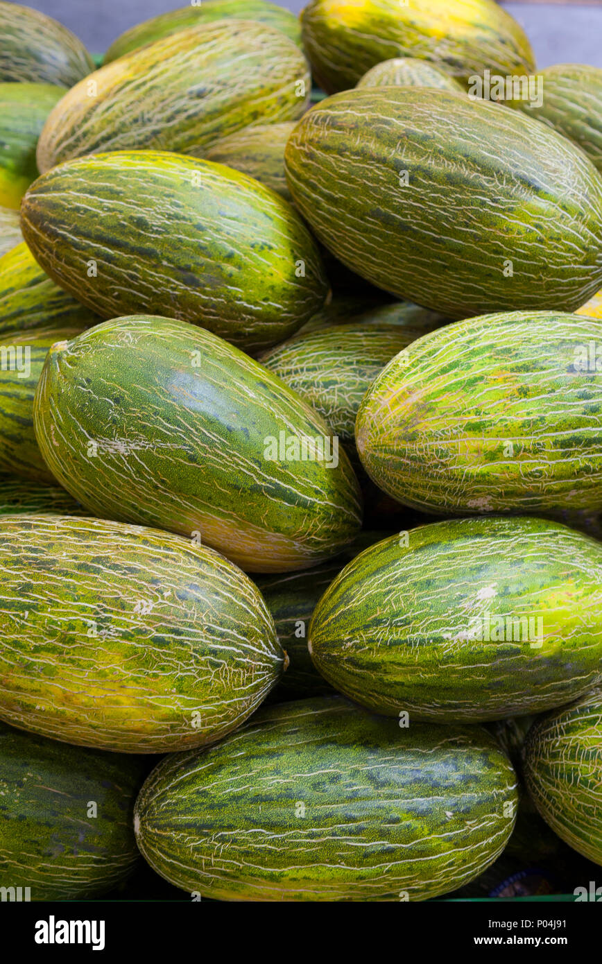 box of rough skin green and yellow melon, shoot in market Stock Photo ...