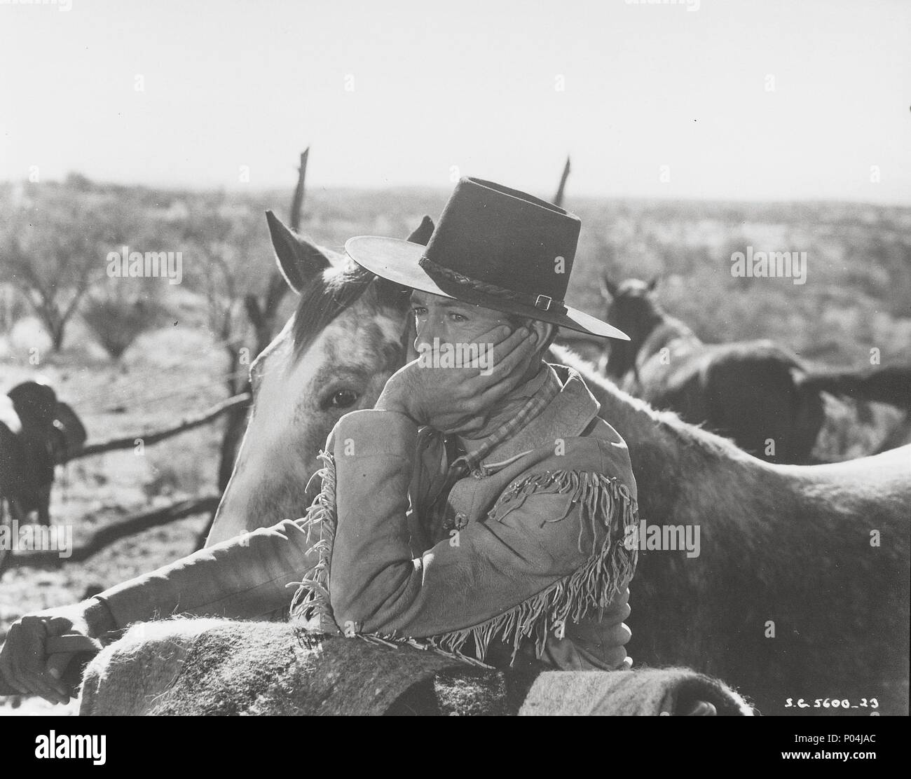 The westerner 1940 gary cooper hi-res stock photography and images - Alamy