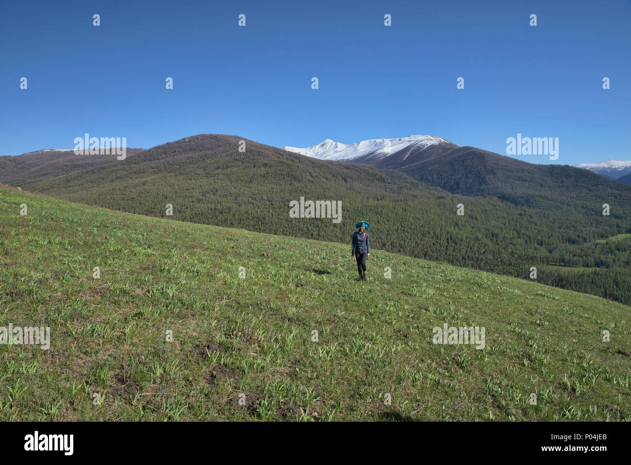 Trekking in northern wilderness, Kanas Lake National Park, Xinjiang ...