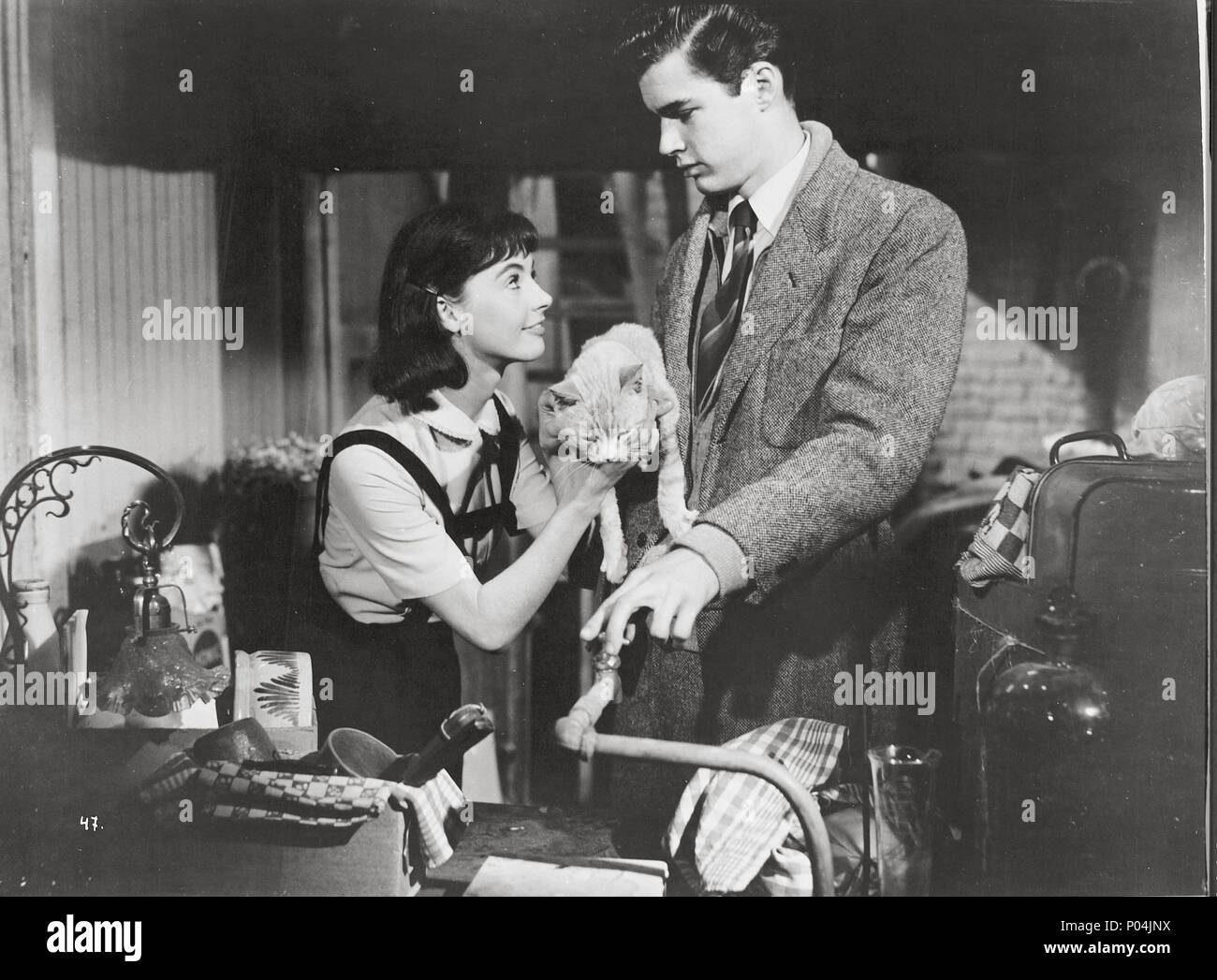 Original Film Title: THE DIARY OF ANNE FRANK. English Title: THE DIARY ...