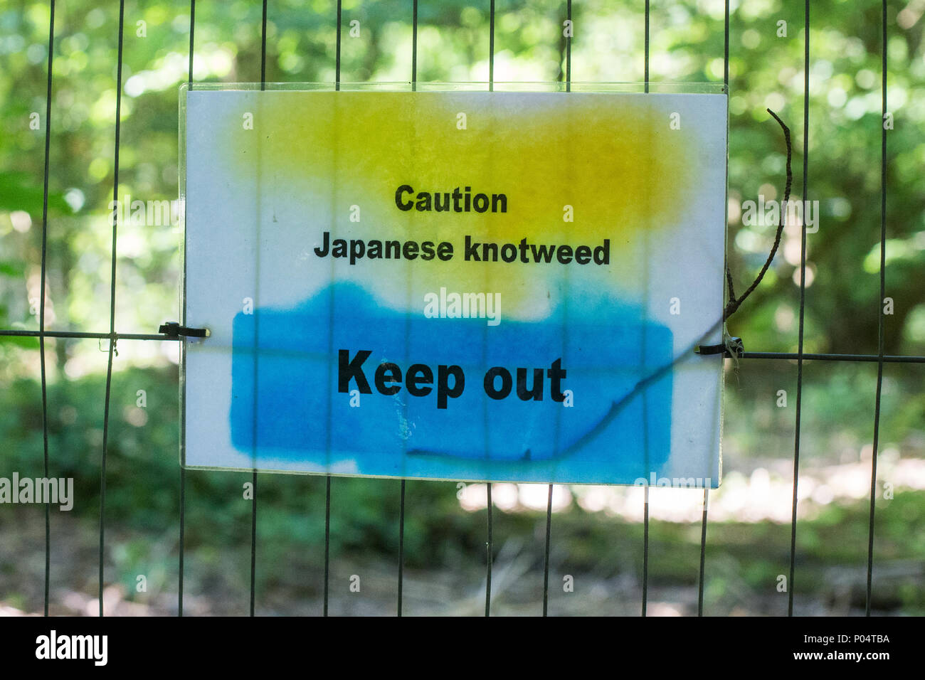 Caution japanese knotweed sign hi-res stock photography and images - Alamy