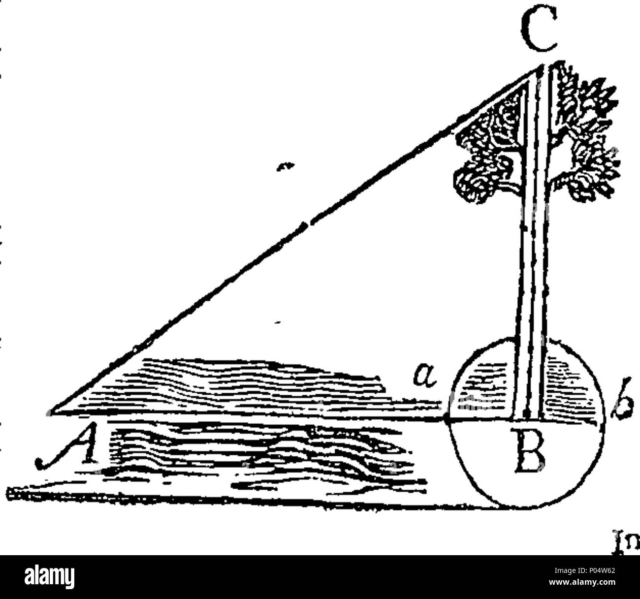 . English: Fleuron from book: A complete system of practical arithmetic, with various branches ...