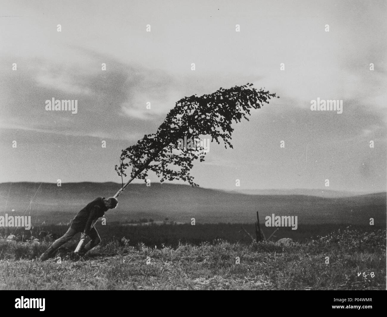 The Virgin Spring Film High Resolution Stock Photography and Images - Alamy