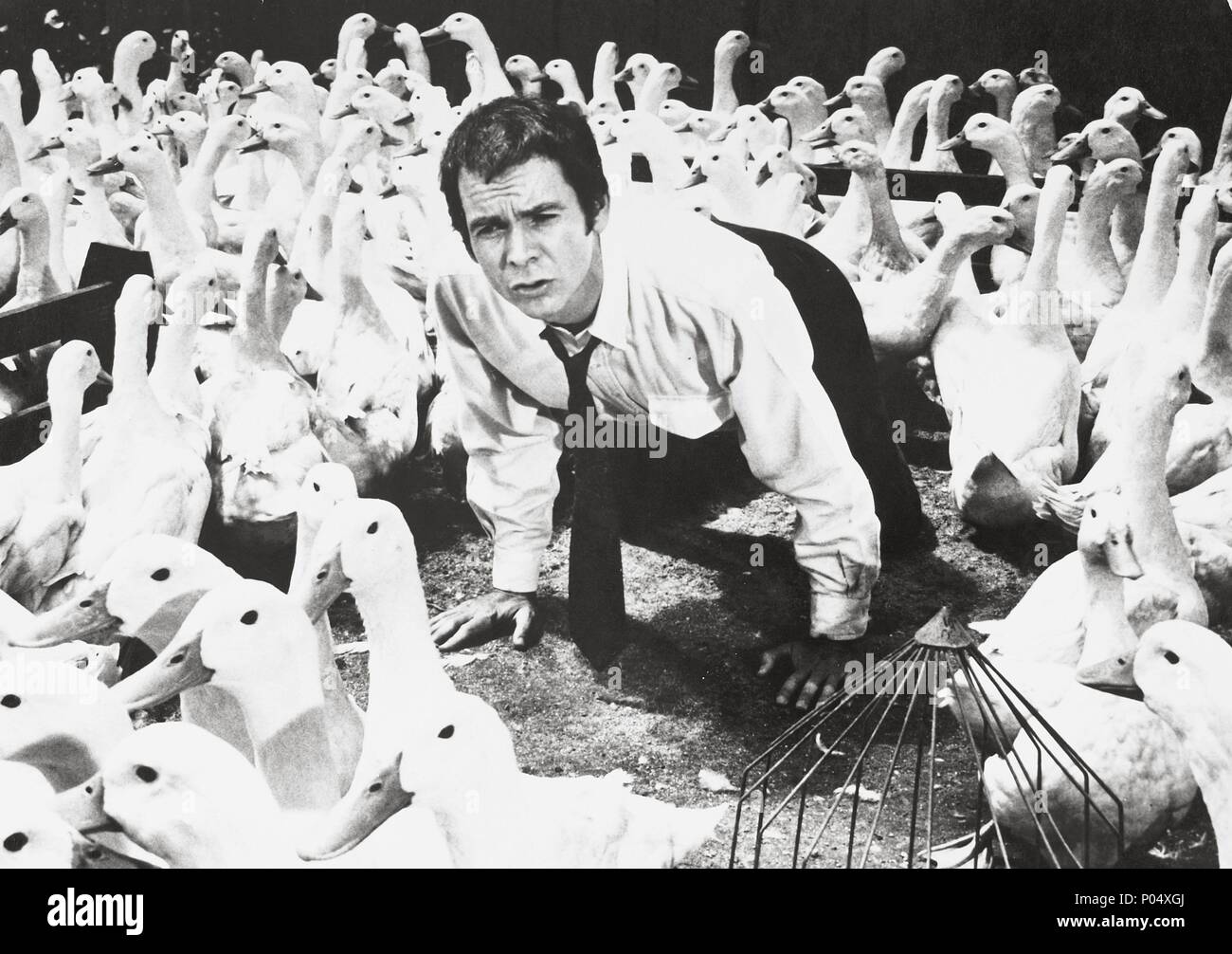 Original Film Title: $1,000,000 DUCK. English Title: $1,000,000 DUCK ...