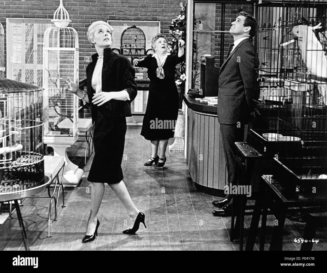Original Film Title: THE BIRDS. English Title: THE BIRDS. Film Director ...