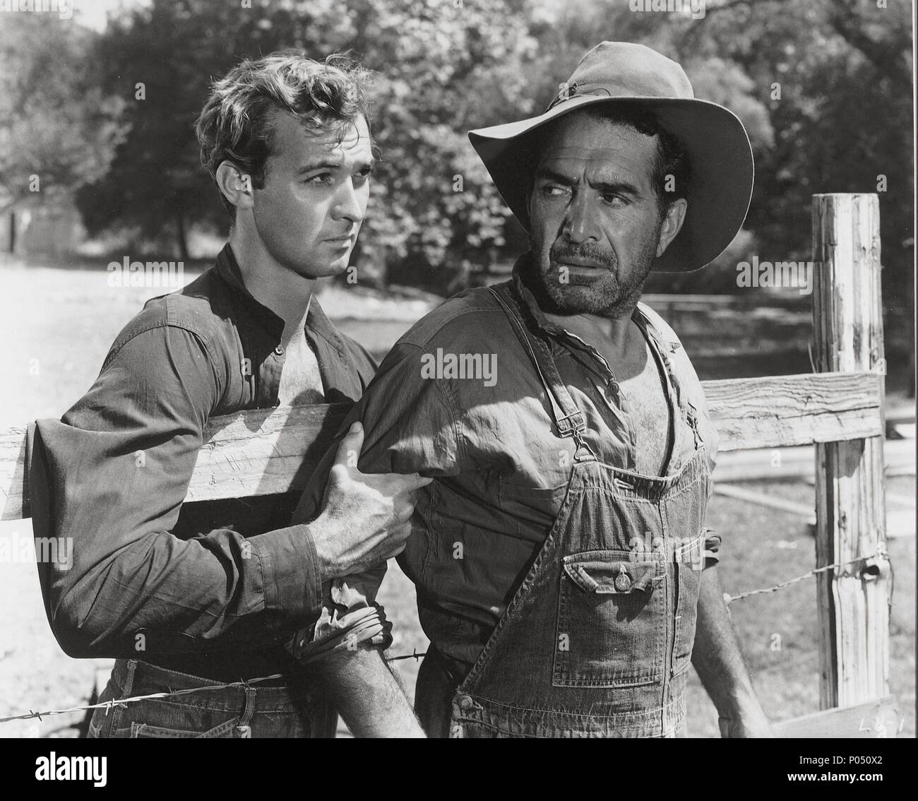 Original Film Title: SOUTHERNER, THE. English Title: SOUTHERNER, THE ...