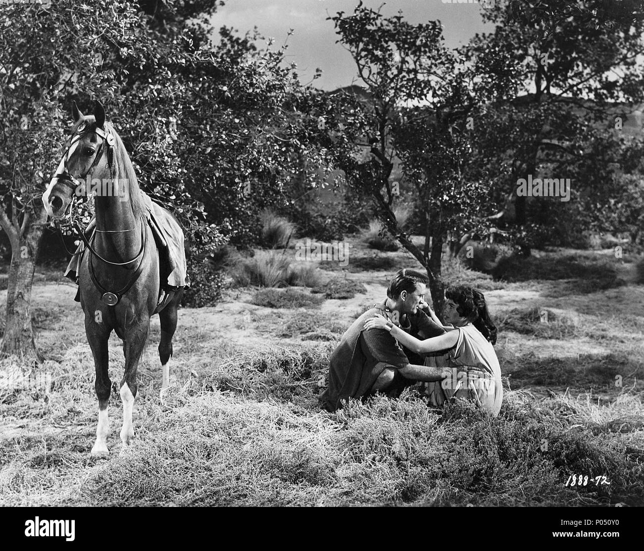 Spartacus 1960 Kirk Douglas Stock Photos & Spartacus 1960 Kirk Douglas ...