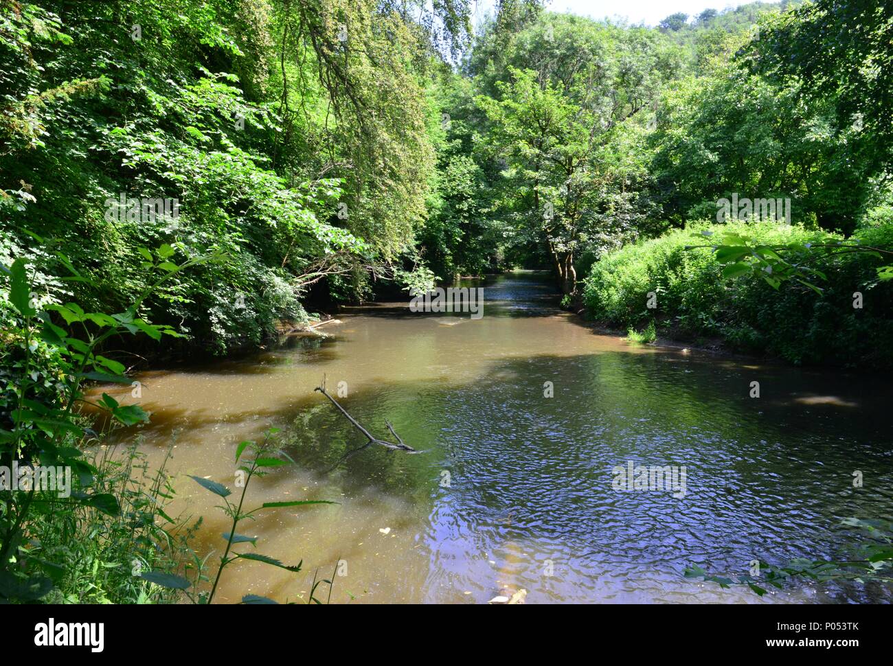 The river mole on a summers day at Dorking in Surrey Stock Photo - Alamy