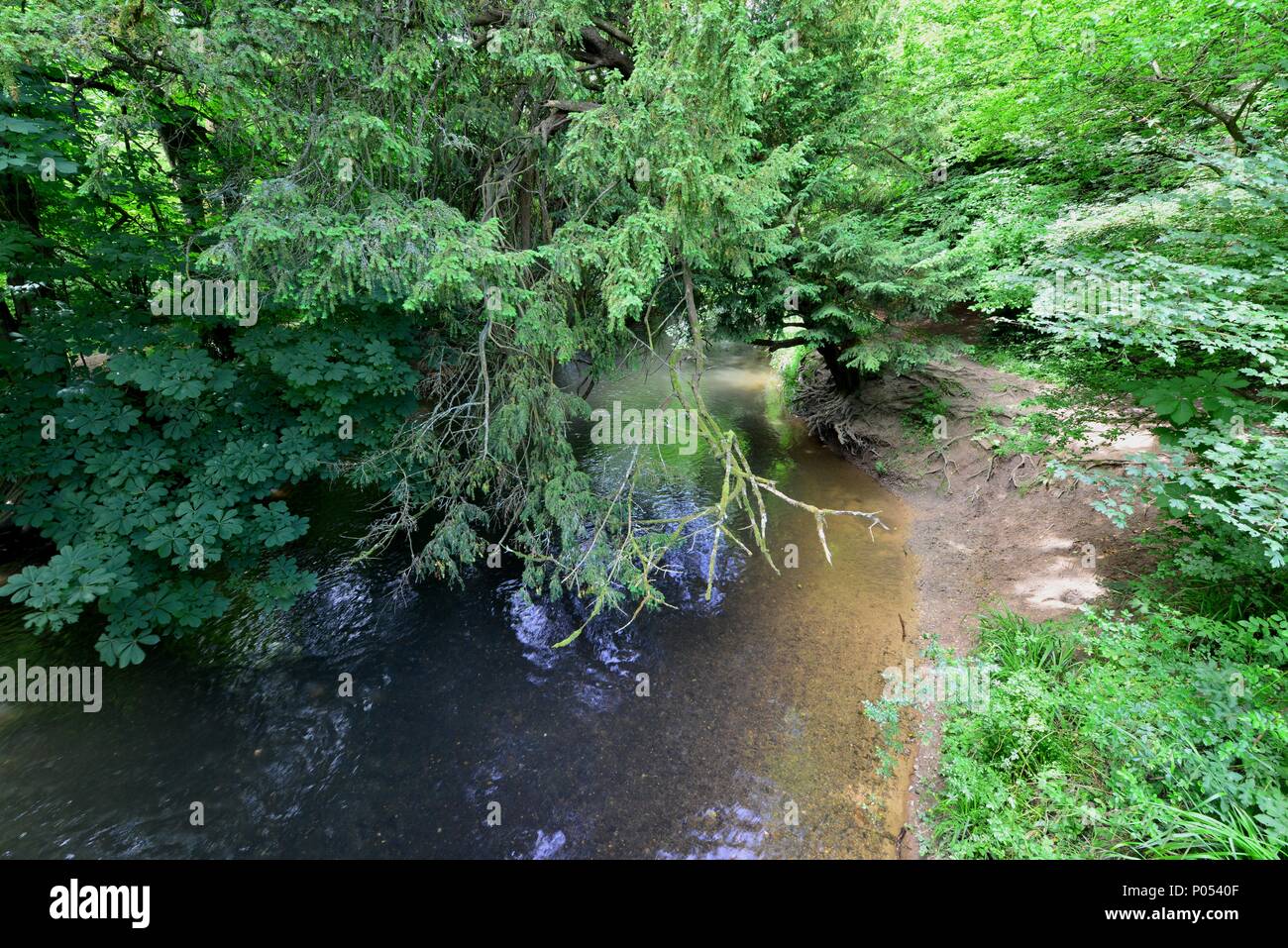 The river mole on a summers day at Dorking in Surrey Stock Photo - Alamy