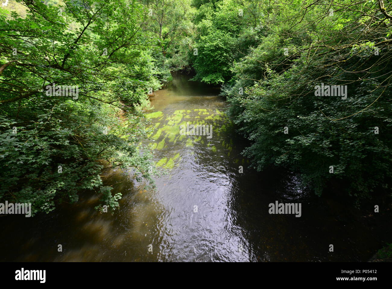 The river mole on a summers day at Dorking in Surrey Stock Photo - Alamy