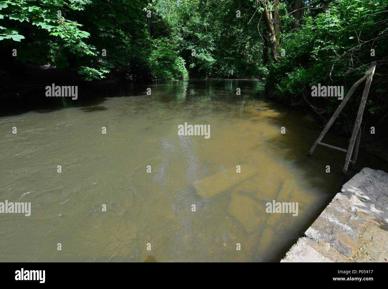 The river mole on a summers day at Dorking in Surrey Stock Photo - Alamy