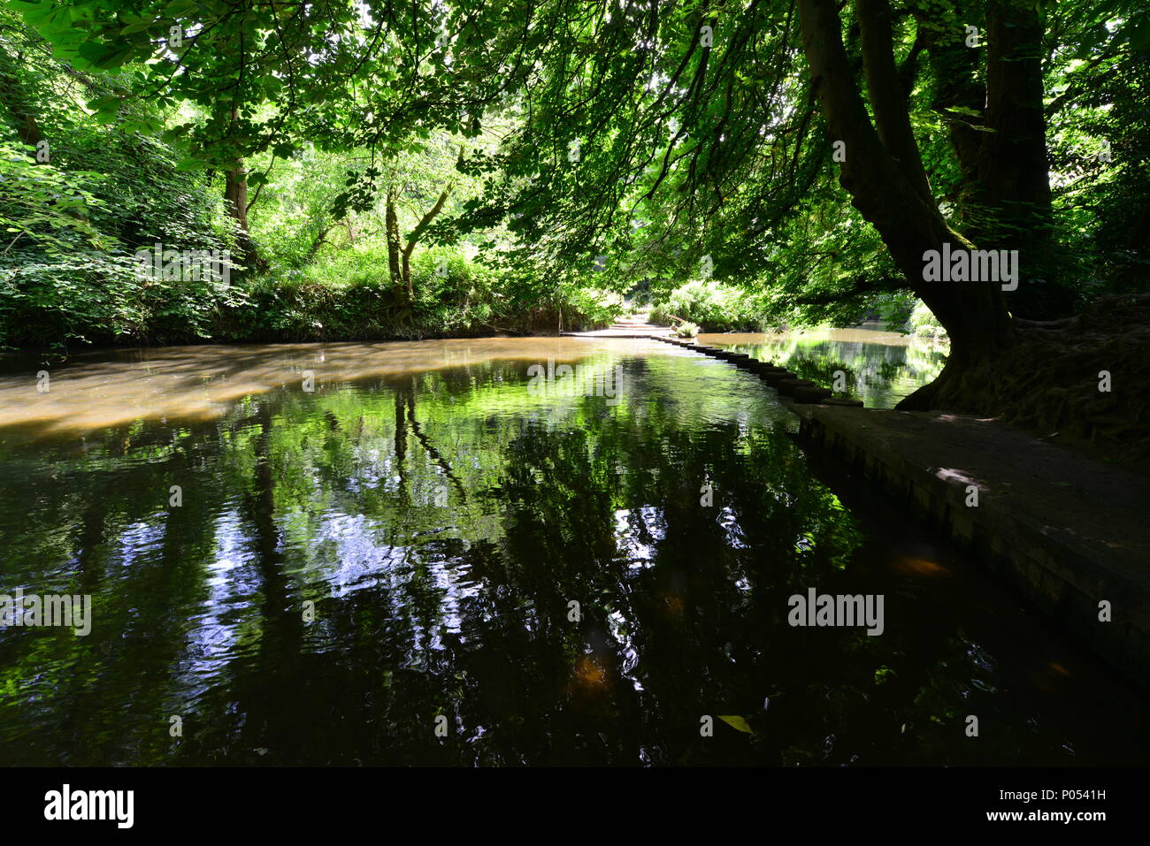The river mole on a summers day at Dorking in Surrey Stock Photo - Alamy