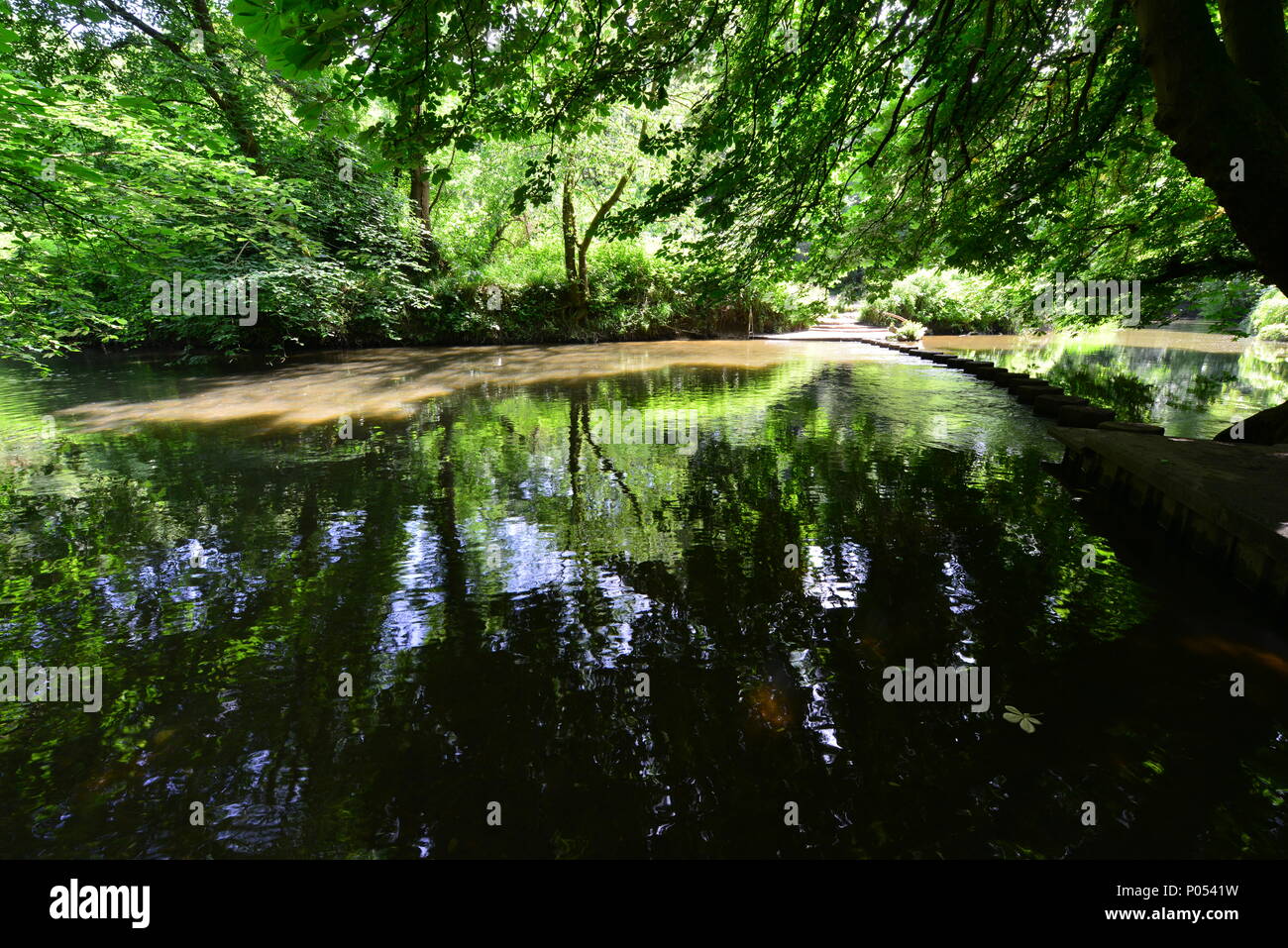 The river mole on a summers day at Dorking in Surrey Stock Photo - Alamy