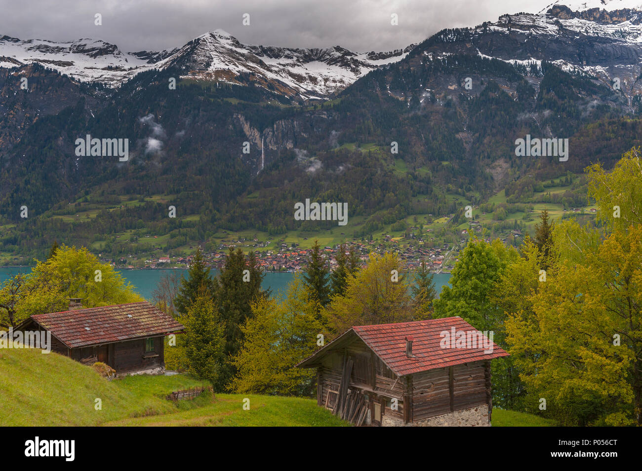 Mountain view on Brienz lake Stock Photo - Alamy